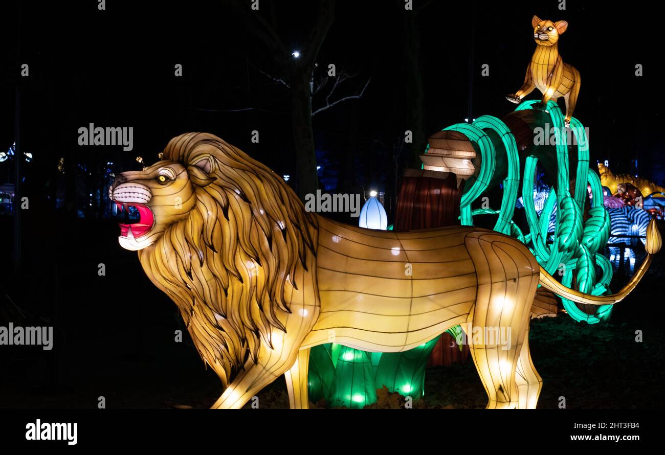 Shot of illuminated lion-shaped lanterns in light festivals on a black ...