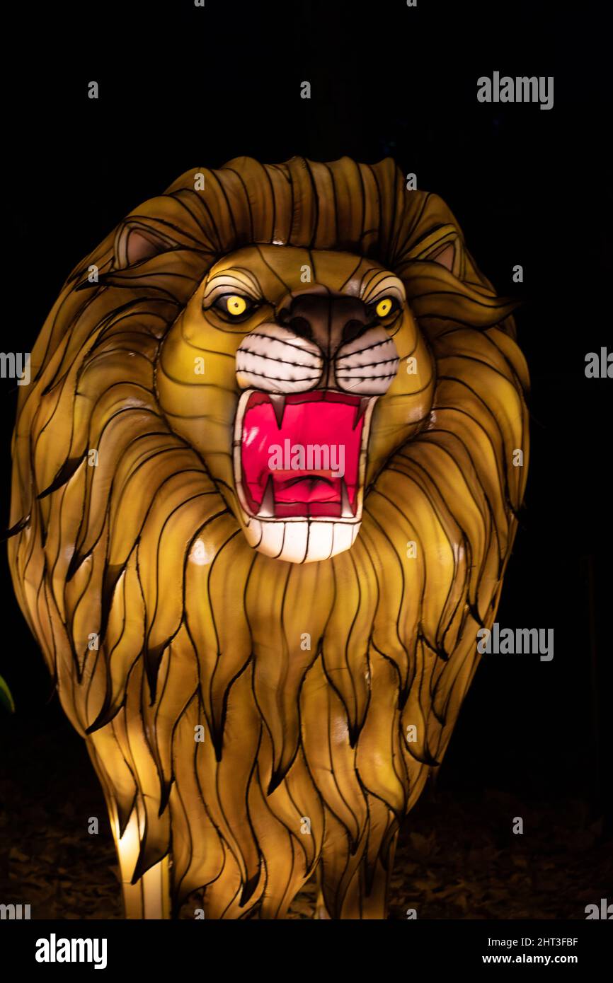 Shot of illuminated lion-shaped lanterns in light festivals on a black ...