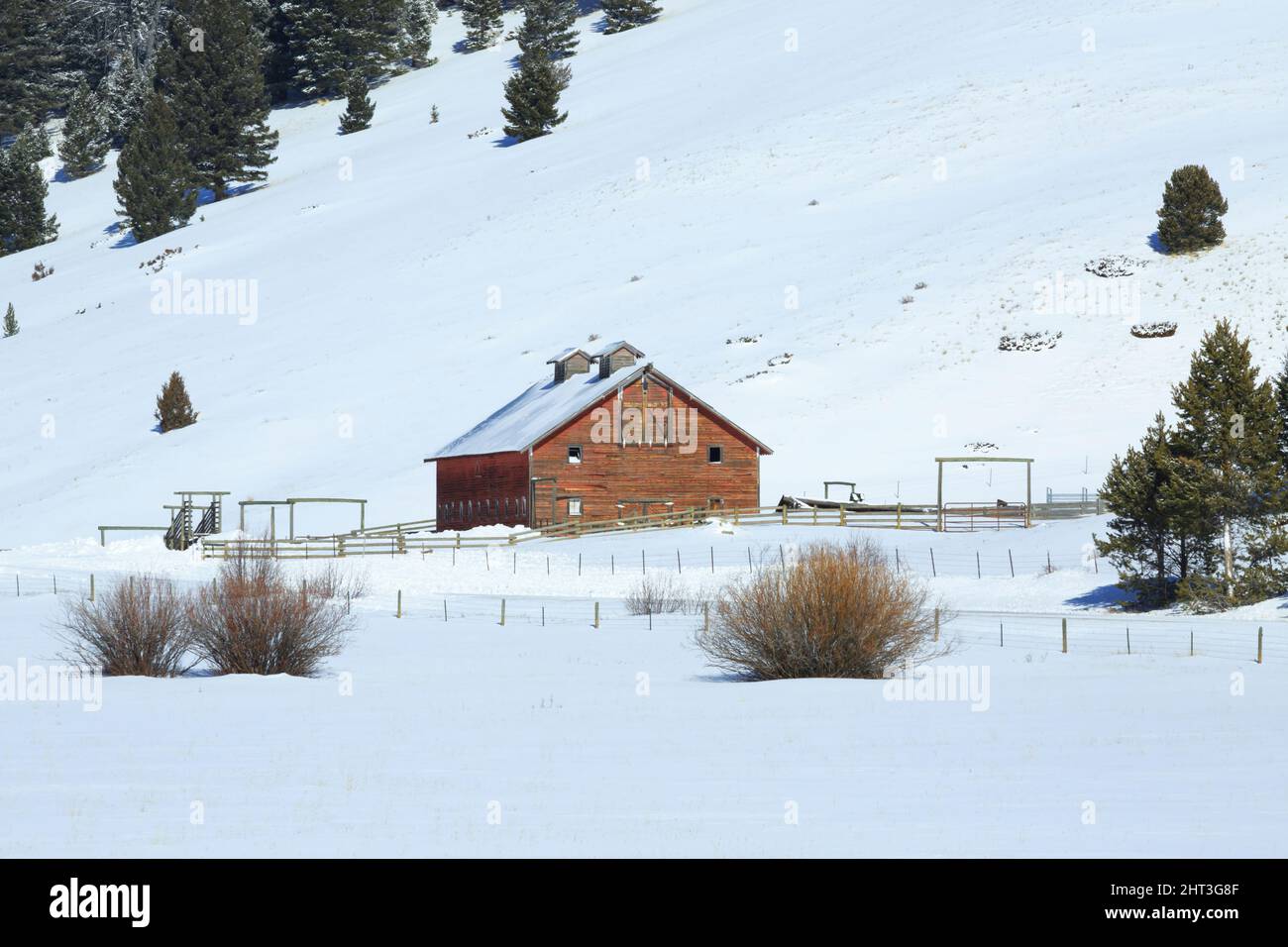 old red barn in winter in the dog creek valley near elliston, montana ...