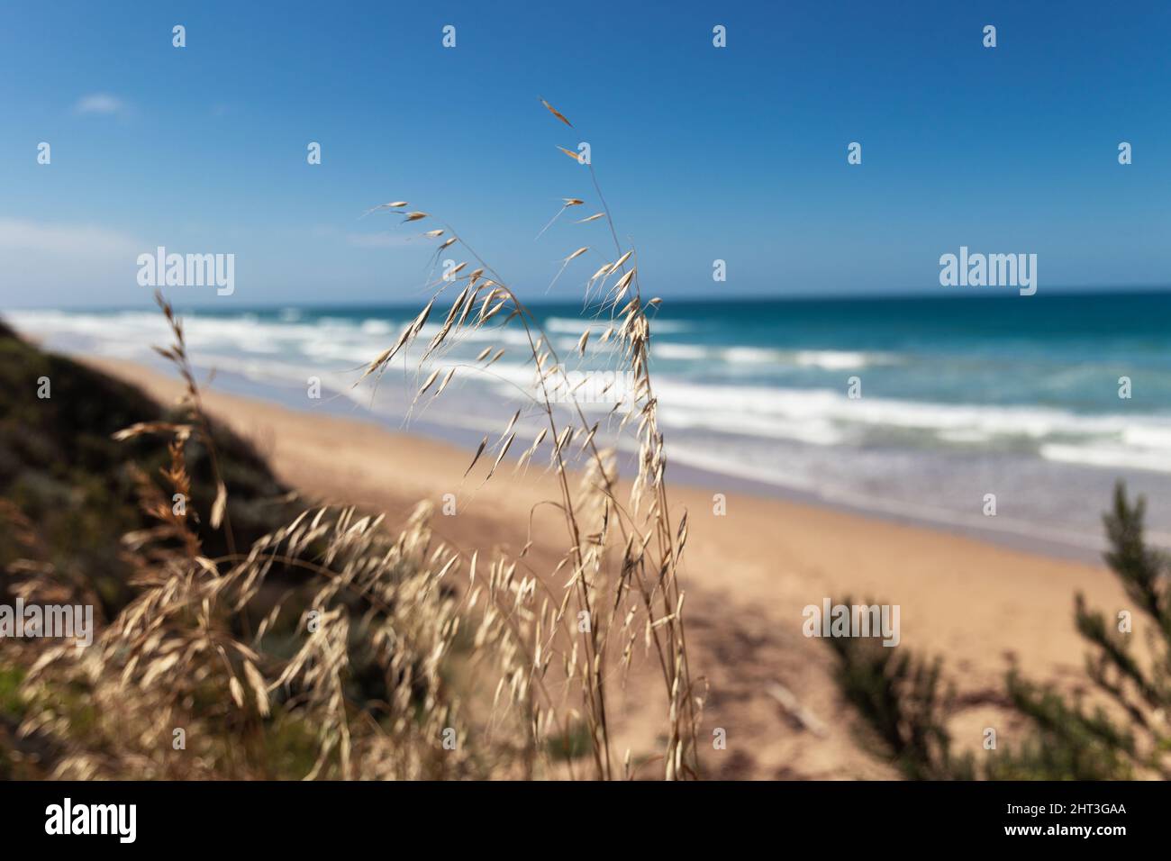 Beautiful view of a beach in Melbourne on a sunny day Stock Photo - Alamy
