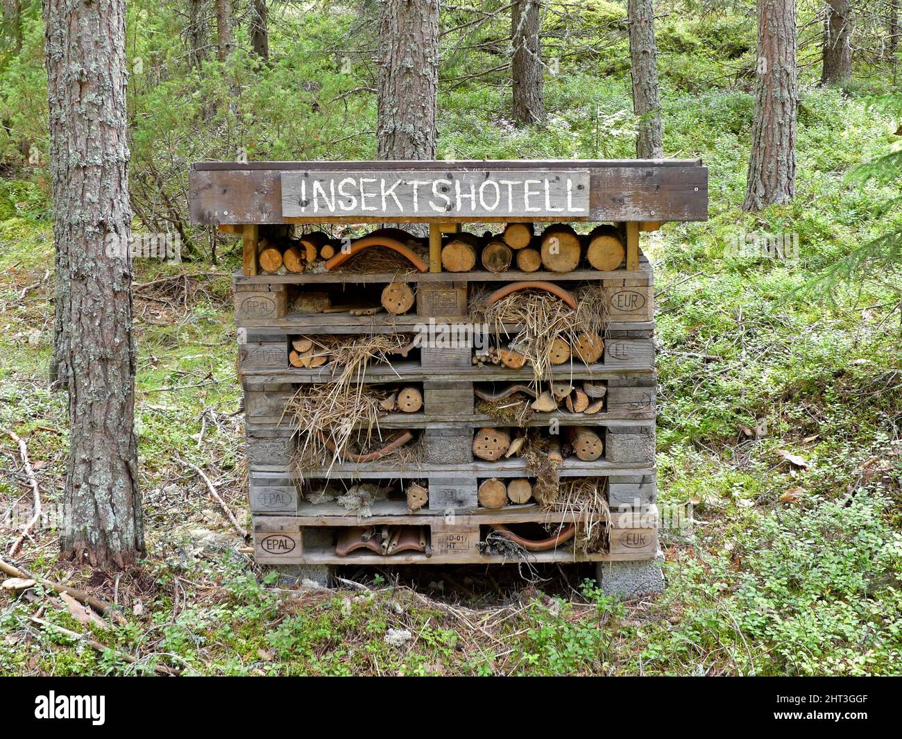 Insect hotel made of pallets Stock Photo - Alamy