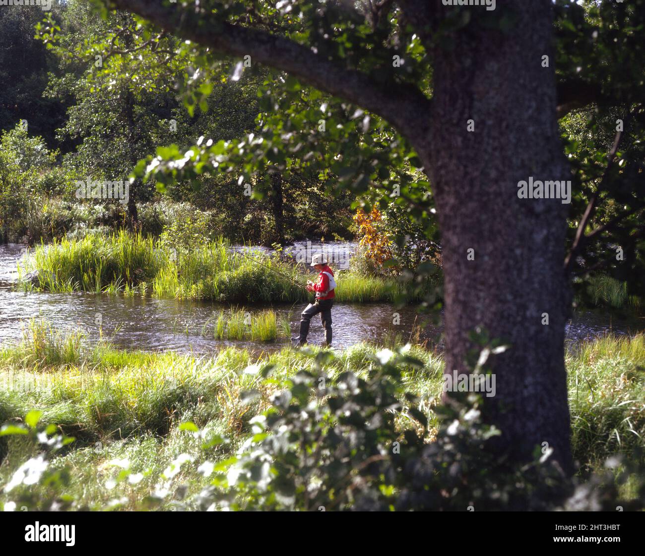 Sportfishing hi-res stock photography and images - Alamy