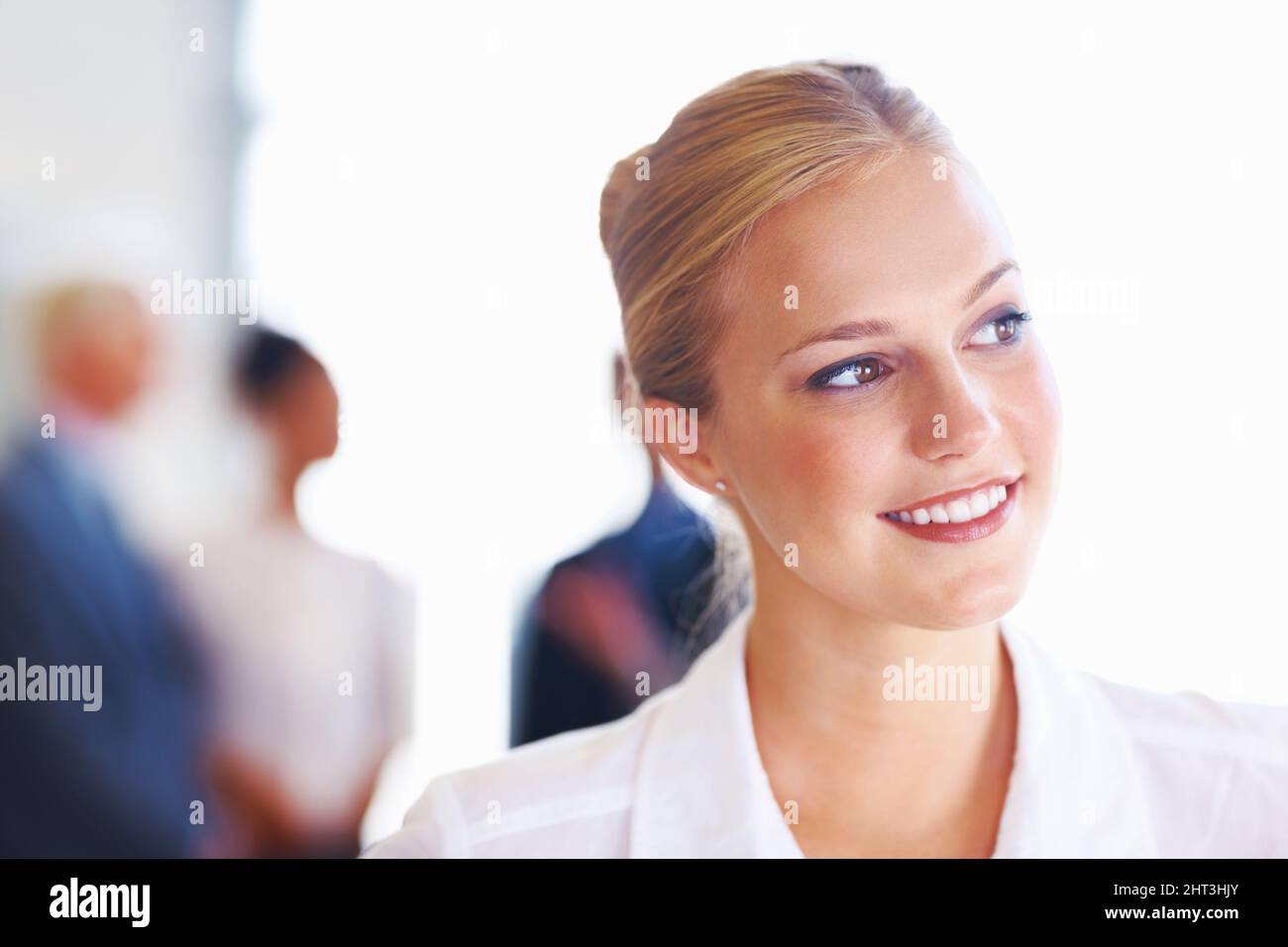 Beautiful business woman looking away with executives. Closeup of ...