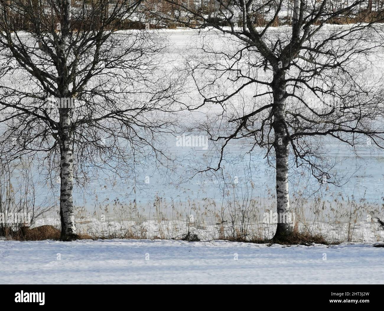 Ice treacherous hi-res stock photography and images - Alamy