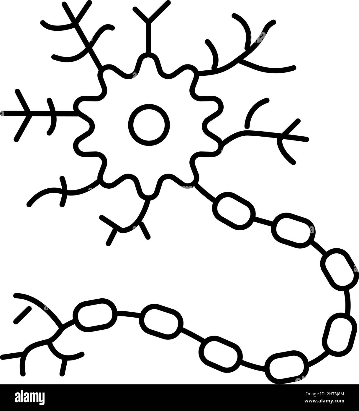 neuron human line icon vector illustration Stock Vector Image & Art - Alamy