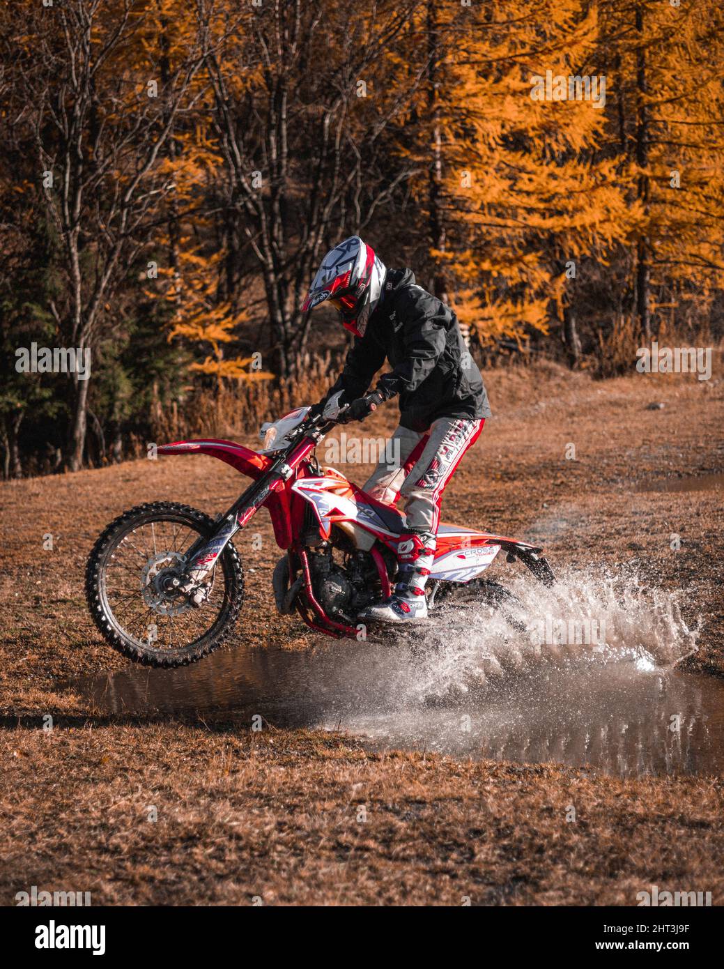 Rider on a motorcycle riding in the forest on a sunny day Stock Photo ...