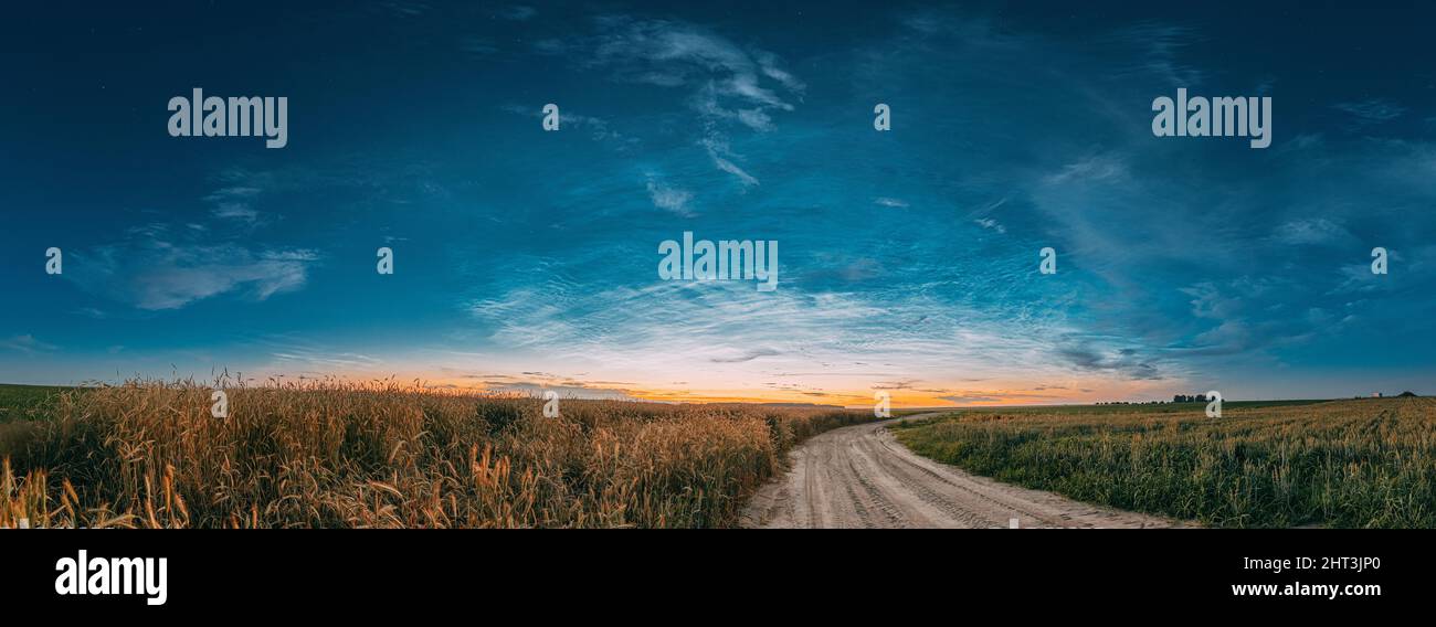 Night Starry Sky With Glowing Stars Above Countryside Landscape ...