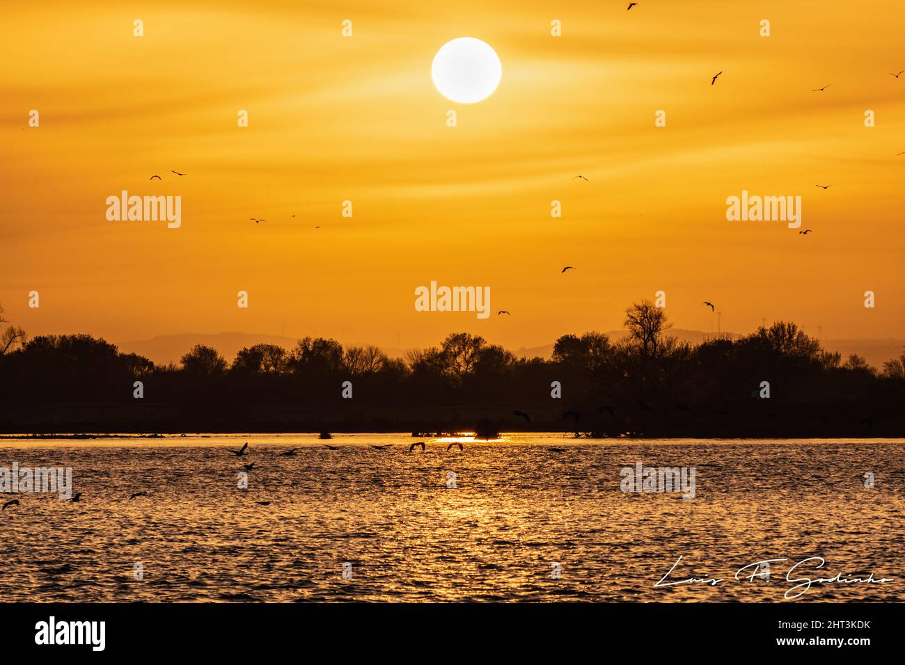 Bright sun setting over a lake with silhouette of trees in the horizon ...