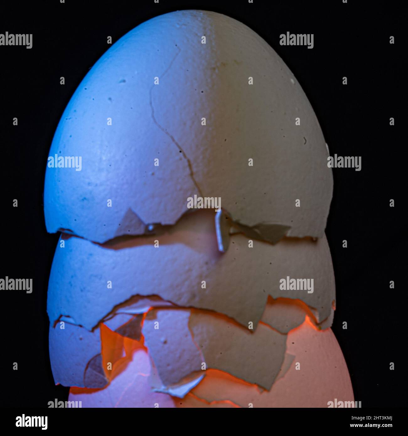 Closeup of layers of white colorful Eggshell isolated with black ...
