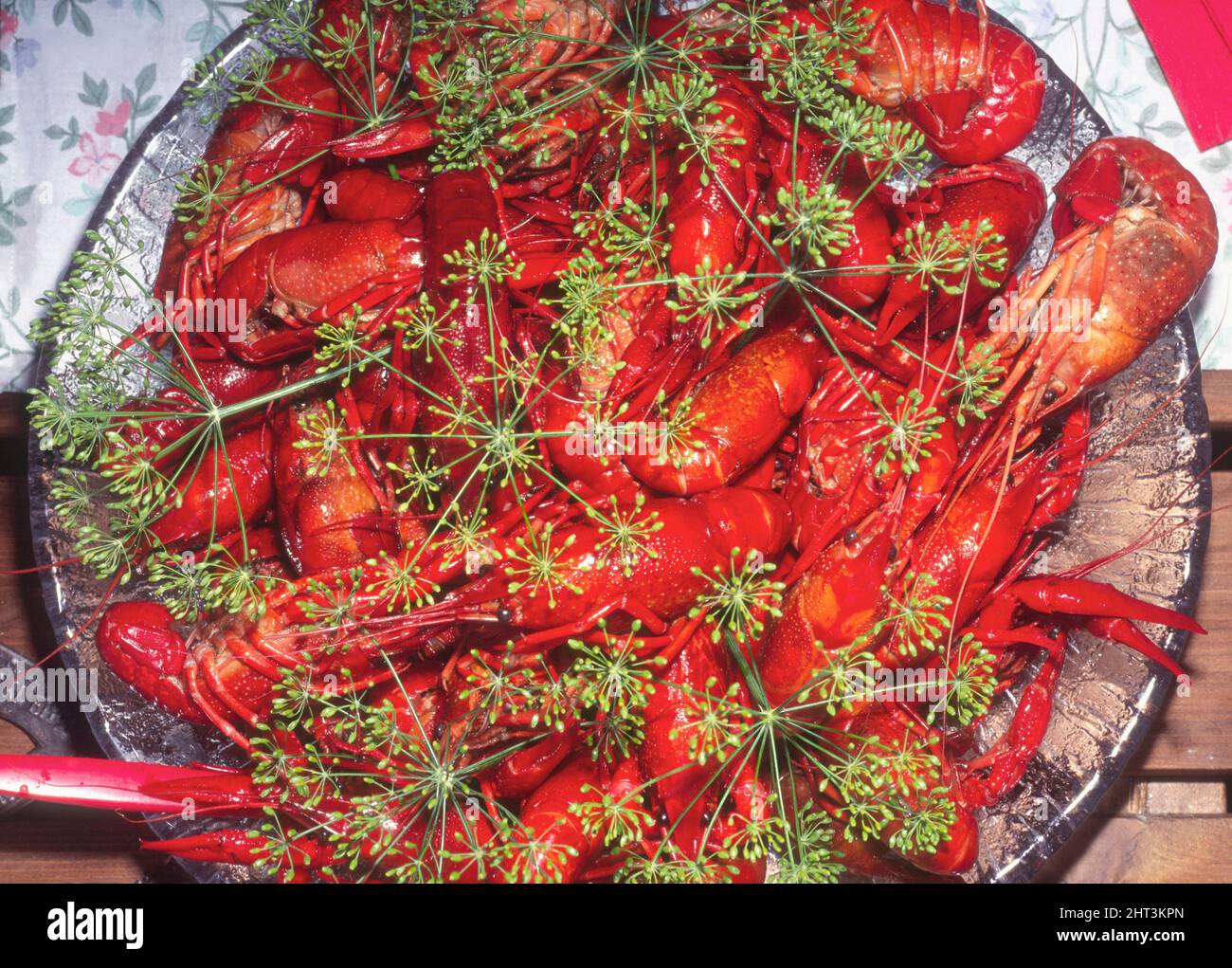 Kraftdjur hi-res stock photography and images - Alamy