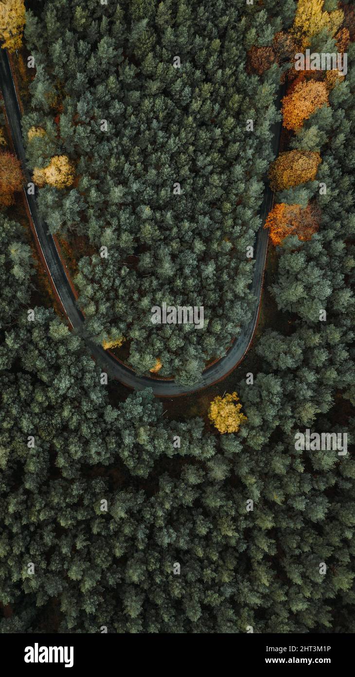 Aerial view of a route through an autumnal forest Stock Photo - Alamy