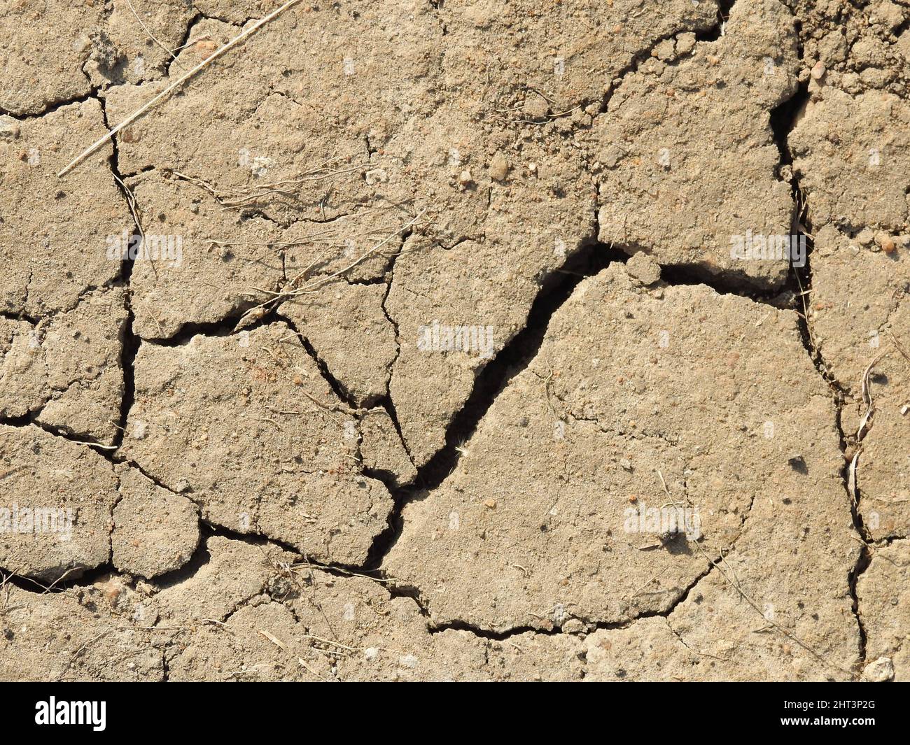 Closeup of Indian dry land with cracks background in the agriculture or ...