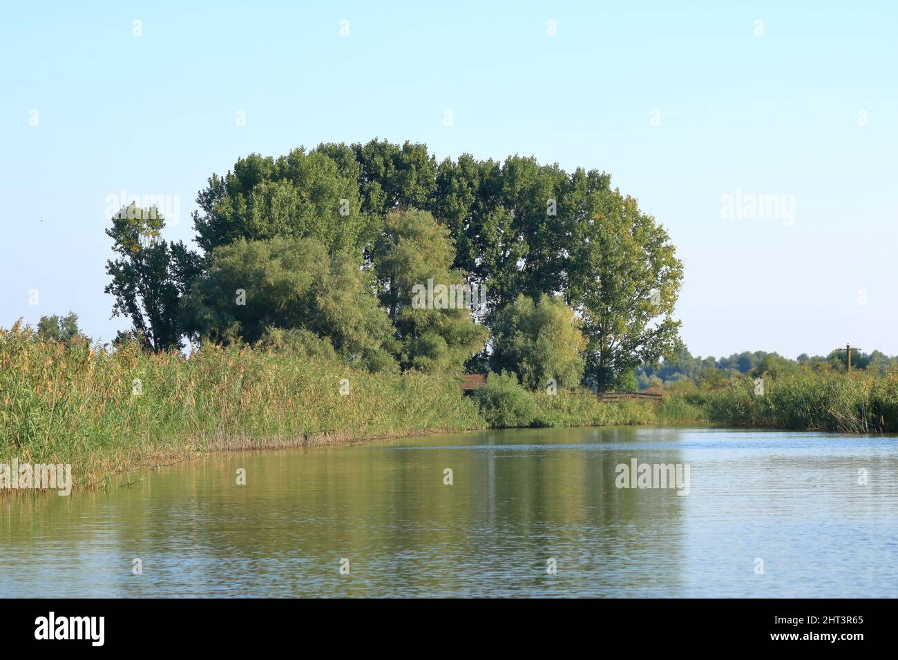 small river channel in the Danube Delta Stock Photo - Alamy