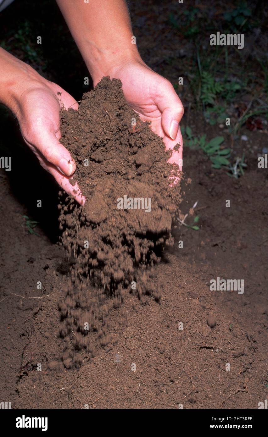 Matjord hi-res stock photography and images - Alamy