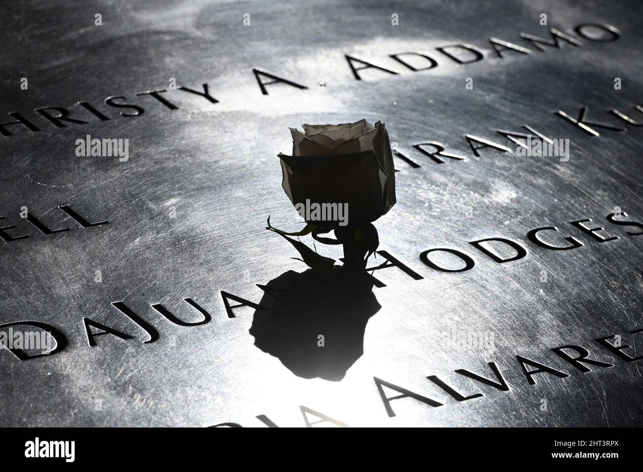 A white rose is placed on the parapet of North Tower Memorial Pool ...