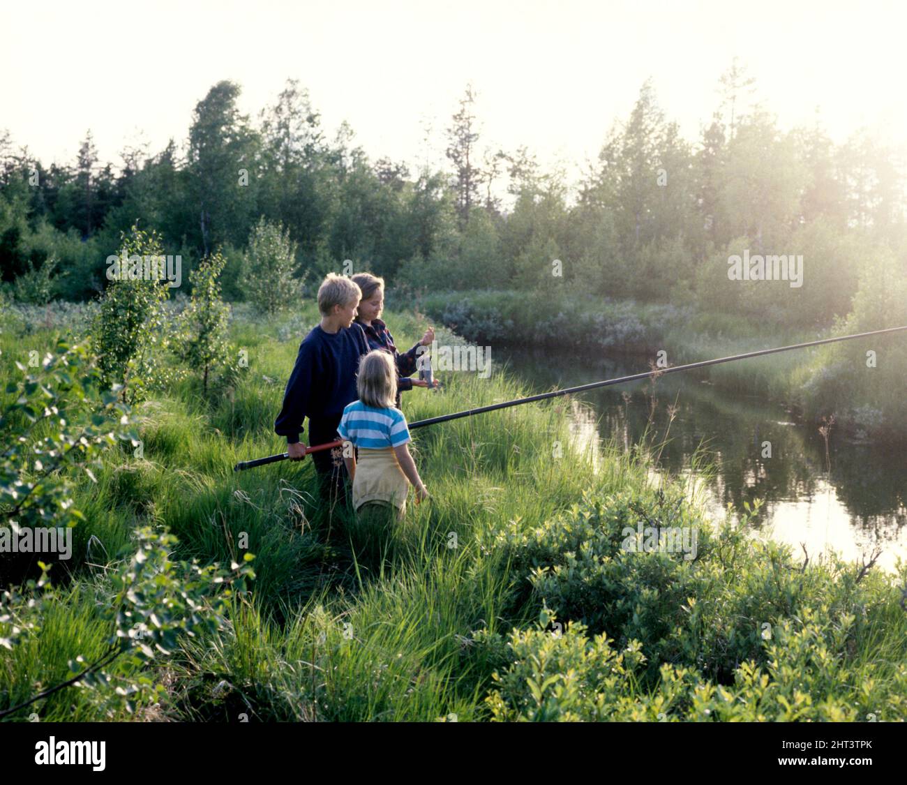 Children fishing by the stream in the evening sun Stock Photo - Alamy