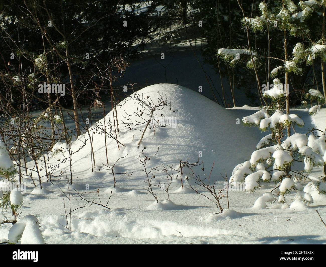 Myrstack hi-res stock photography and images - Alamy