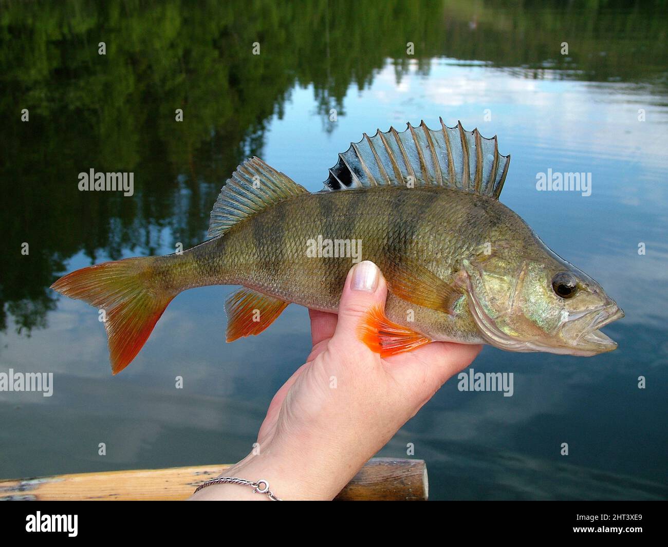 Outdoor catch hi-res stock photography and images - Alamy