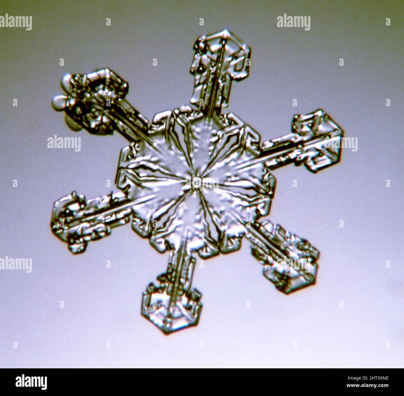 Snowflakes snow crystals hi-res stock photography and images - Alamy