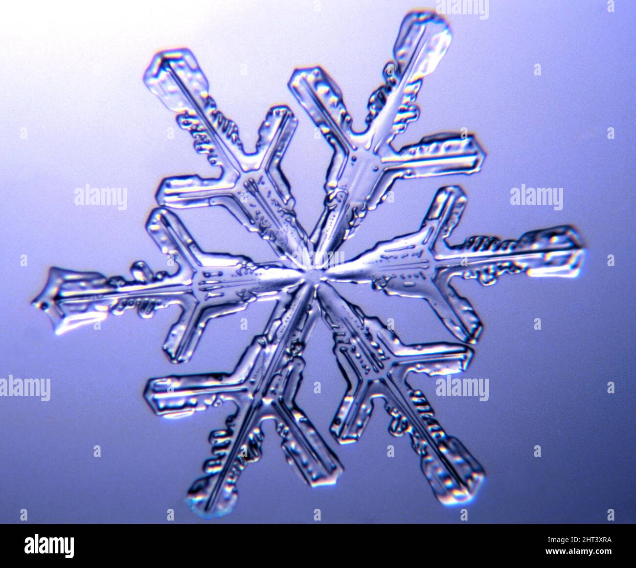 Snow flake crystals hi-res stock photography and images - Alamy