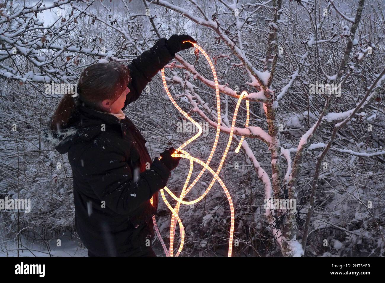 Woman sets up lighting in a tree Stock Photo - Alamy