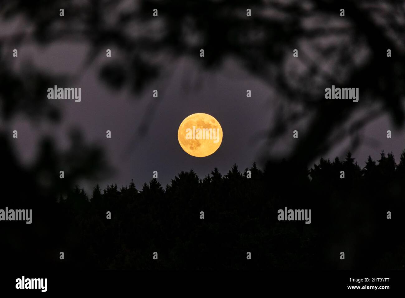 Scenic view of the full moon in the night sky in Germany Stock Photo ...