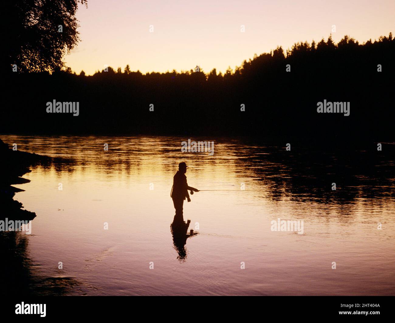 Fly fishing at sunset Stock Photo - Alamy