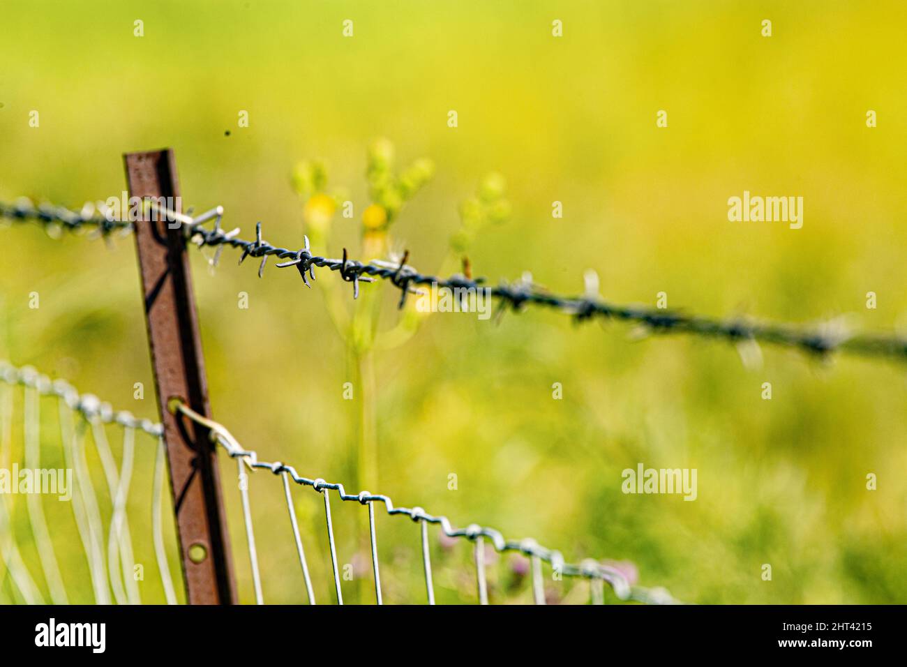 Death of farming hi-res stock photography and images - Alamy