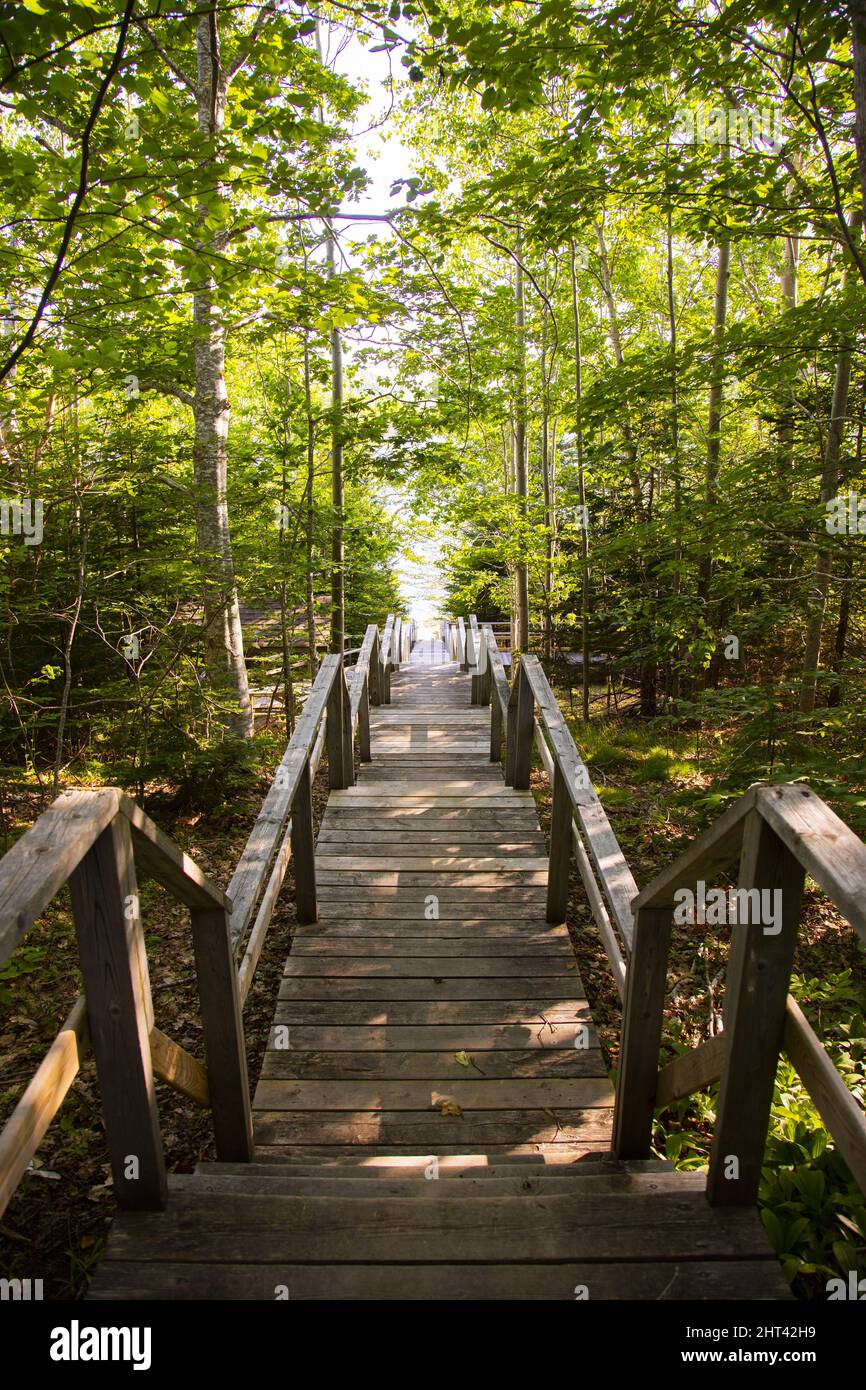 Landscape shot steps leading hi-res stock photography and images - Alamy