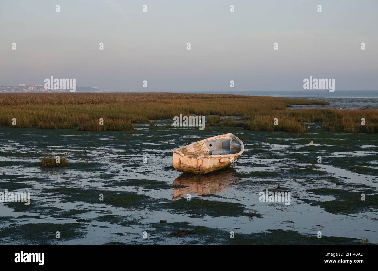 Old abandoned rowing boat sitting on coastal Essex in Marshland Stock ...