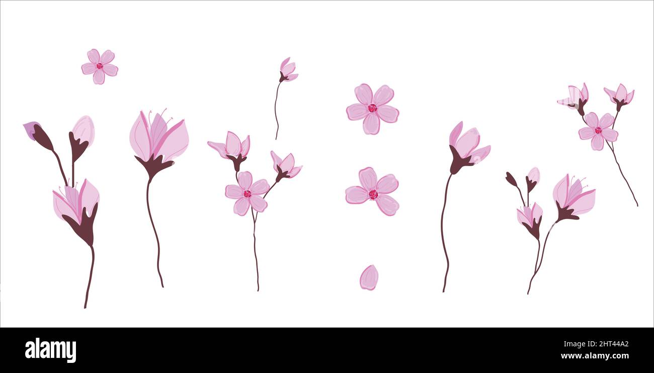 Pink sakura Stock Vector Images - Alamy