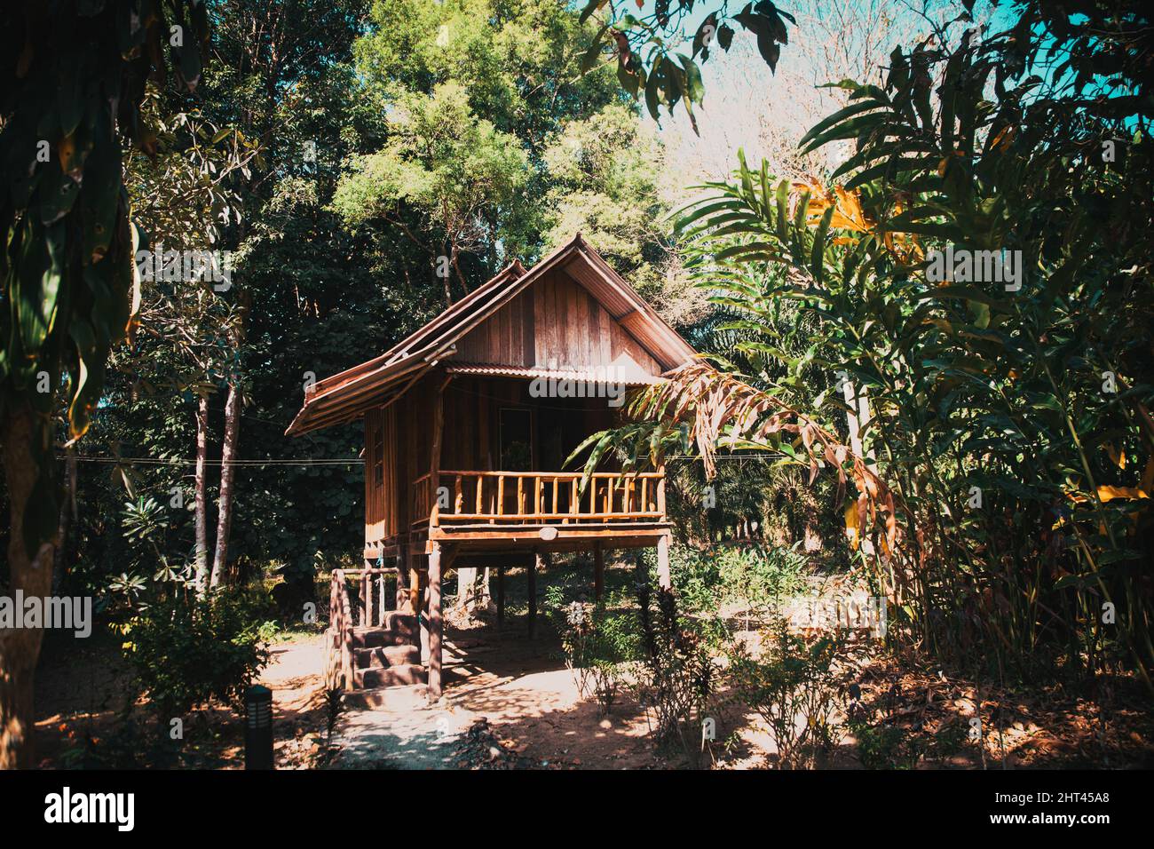 small wooden cottage in the jungle Stock Photo - Alamy
