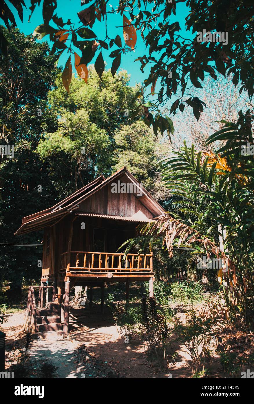 small wooden cottage in the jungle Stock Photo - Alamy