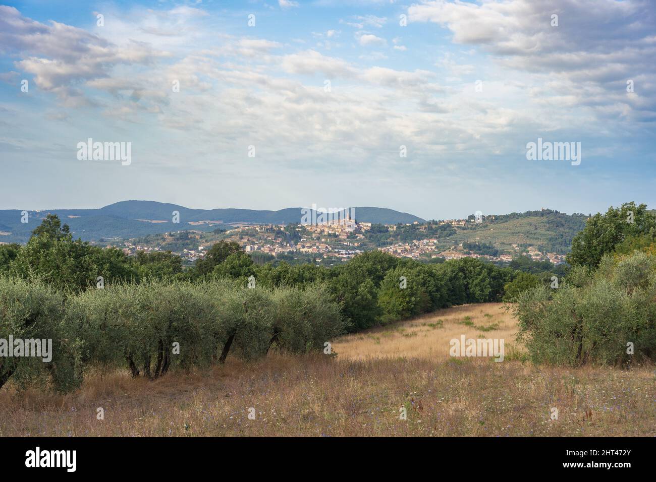 Sinalunga hi-res stock photography and images - Alamy