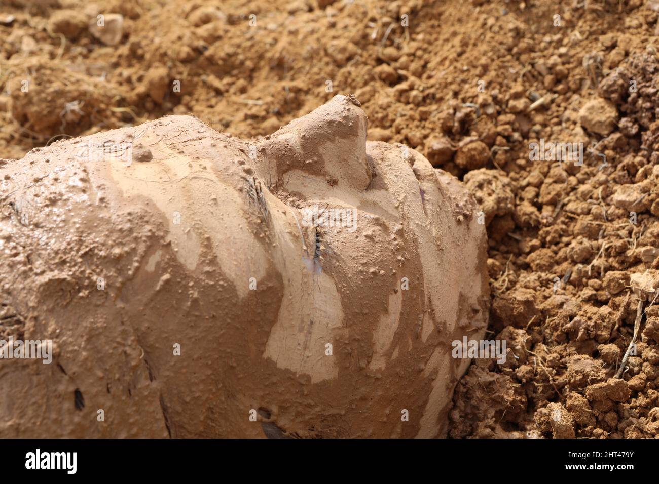 A woman buried in the ground A face covered in the ground Stock Photo ...