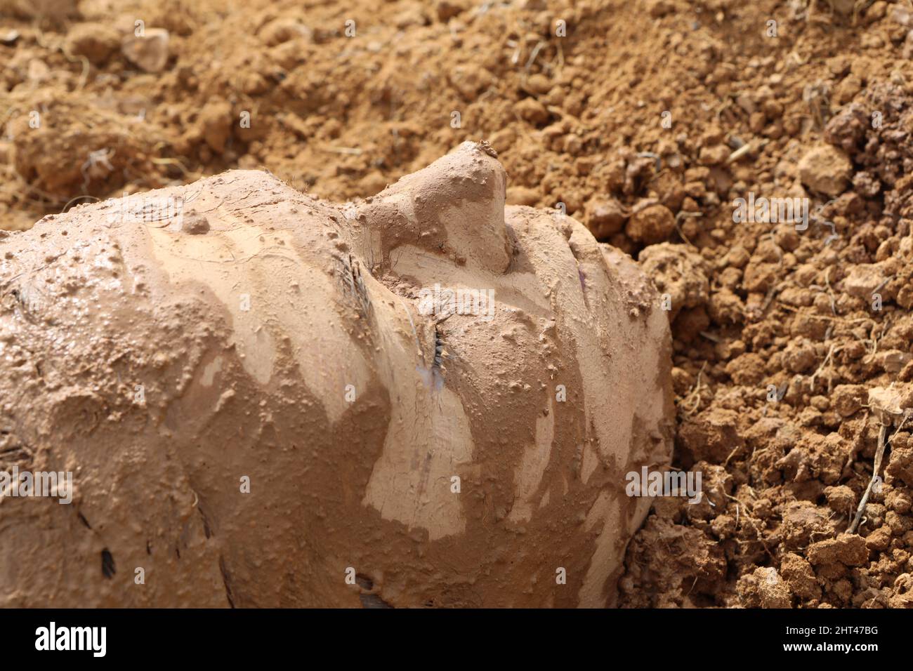 A woman buried in the ground A face covered in the ground Stock Photo ...