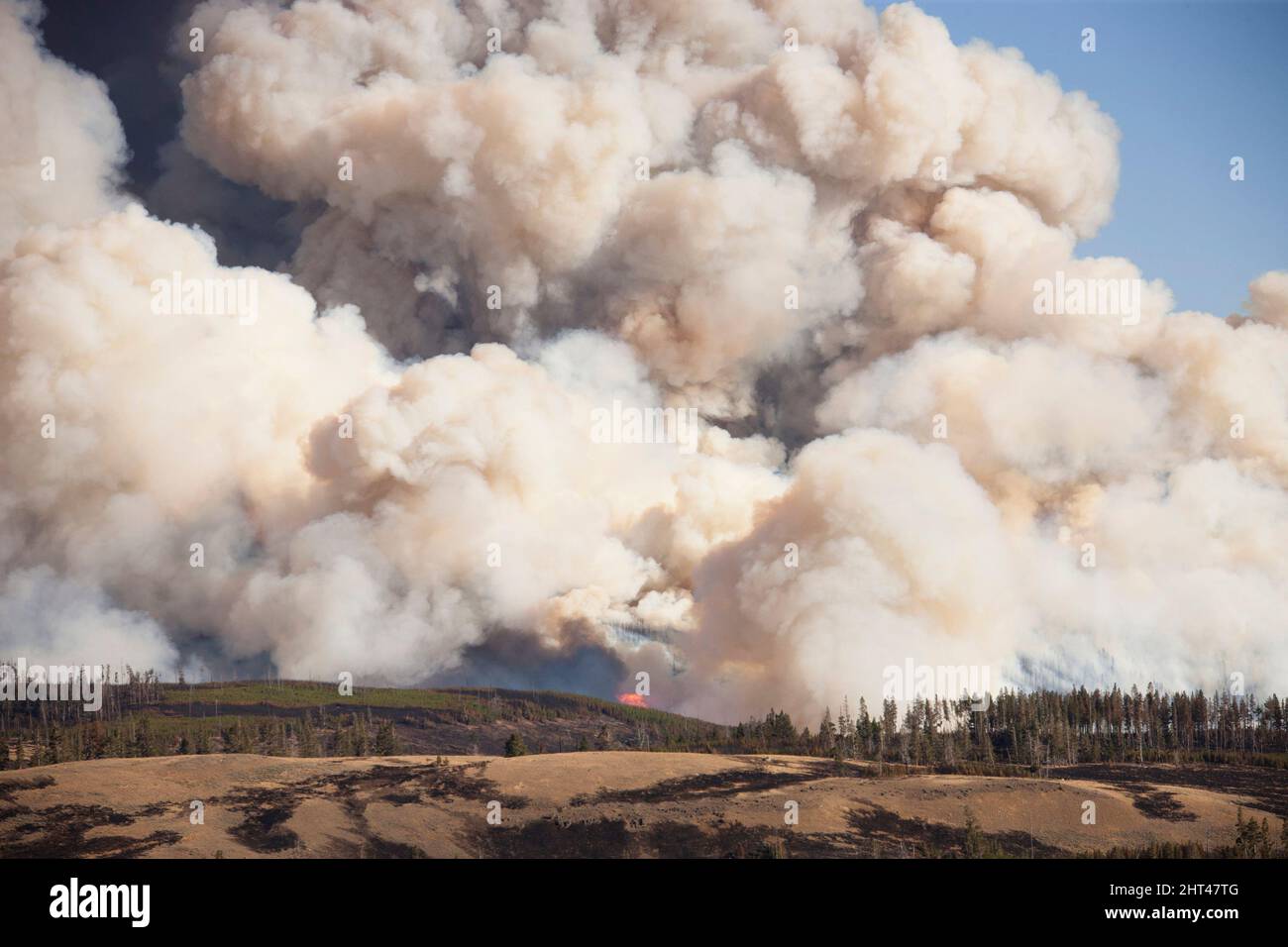 Clouds of smoke from a forest fire. Antelope Creek, Yellowstone ...