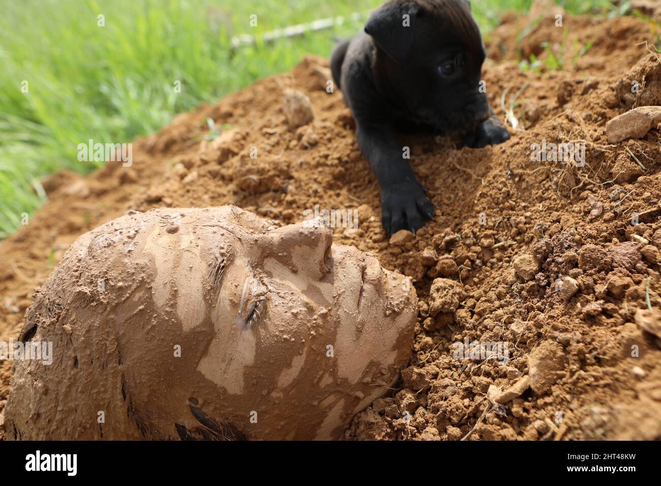 A woman buried in the ground A face covered in the ground Stock Photo ...