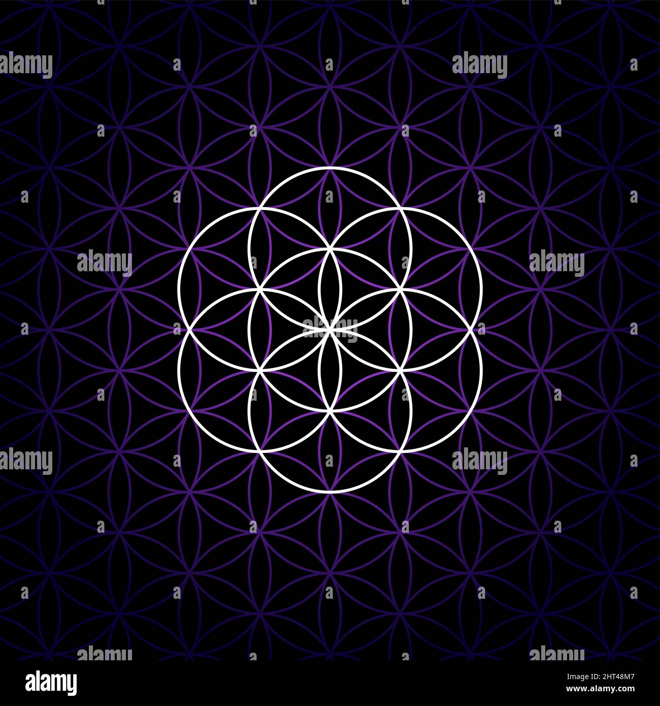 Sacred geometry flower life design hi-res stock photography and images ...