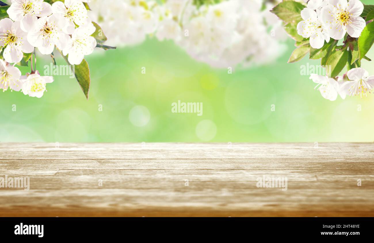 Spring banner background with copy space Stock Photo - Alamy