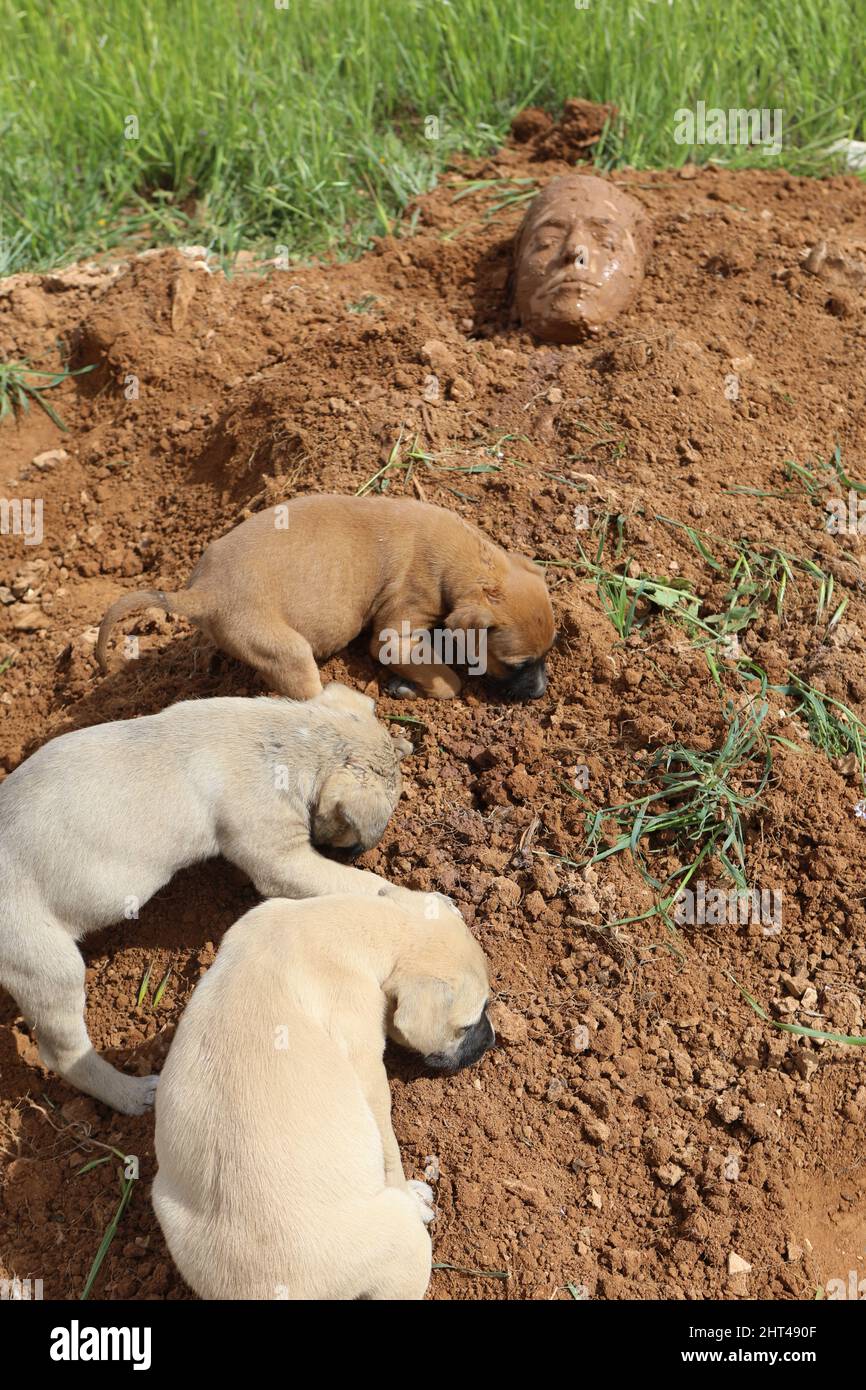 Buried alive in hell hi-res stock photography and images - Alamy