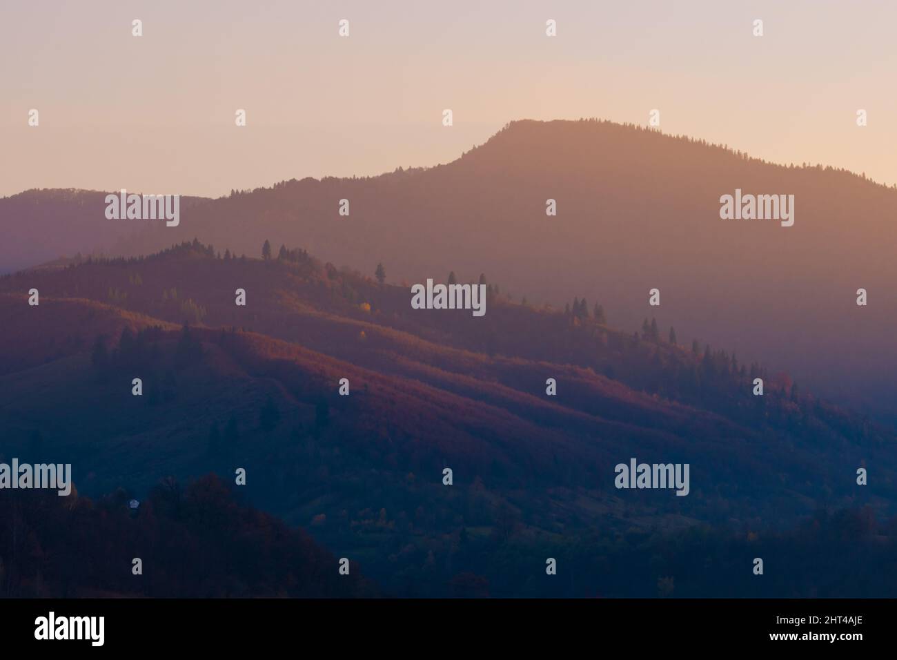 Beautiful view of mountains with forests during the sunset Stock Photo ...