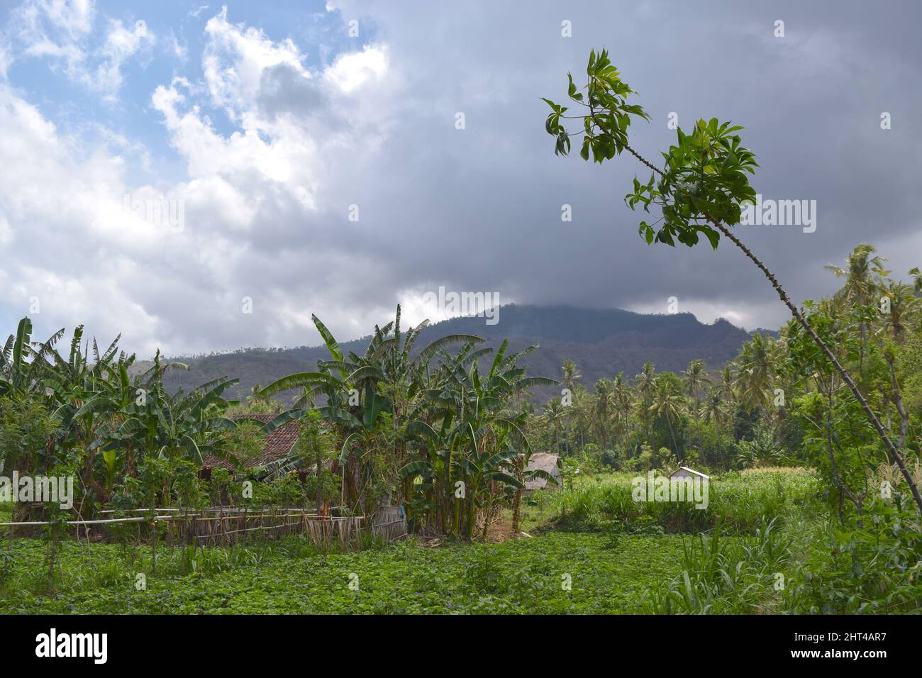 Picturesque landscapes bali hi-res stock photography and images - Alamy