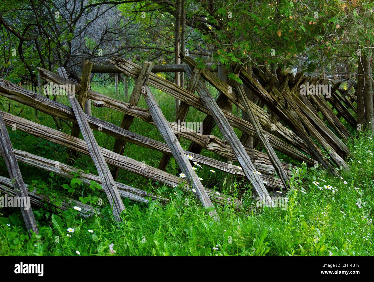 Coppice fence hi-res stock photography and images - Alamy