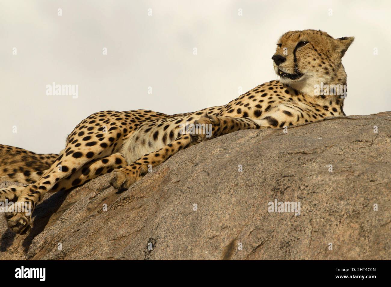 Granite kopjes hi-res stock photography and images - Alamy