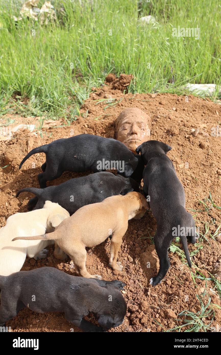 A woman buried in the ground A face covered in the ground Stock Photo ...