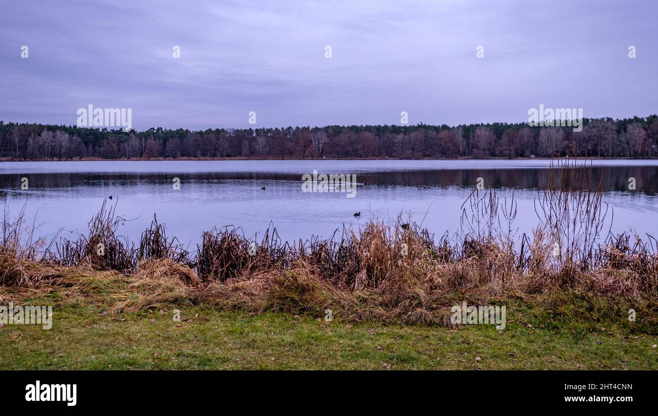 Landscape of a lake surrounded by greenery under a cloudy sky in the ...