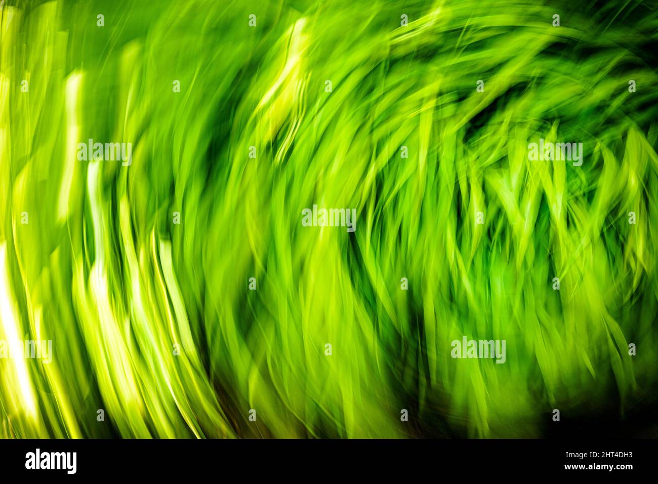 Abstract blurry background in green colors Stock Photo - Alamy