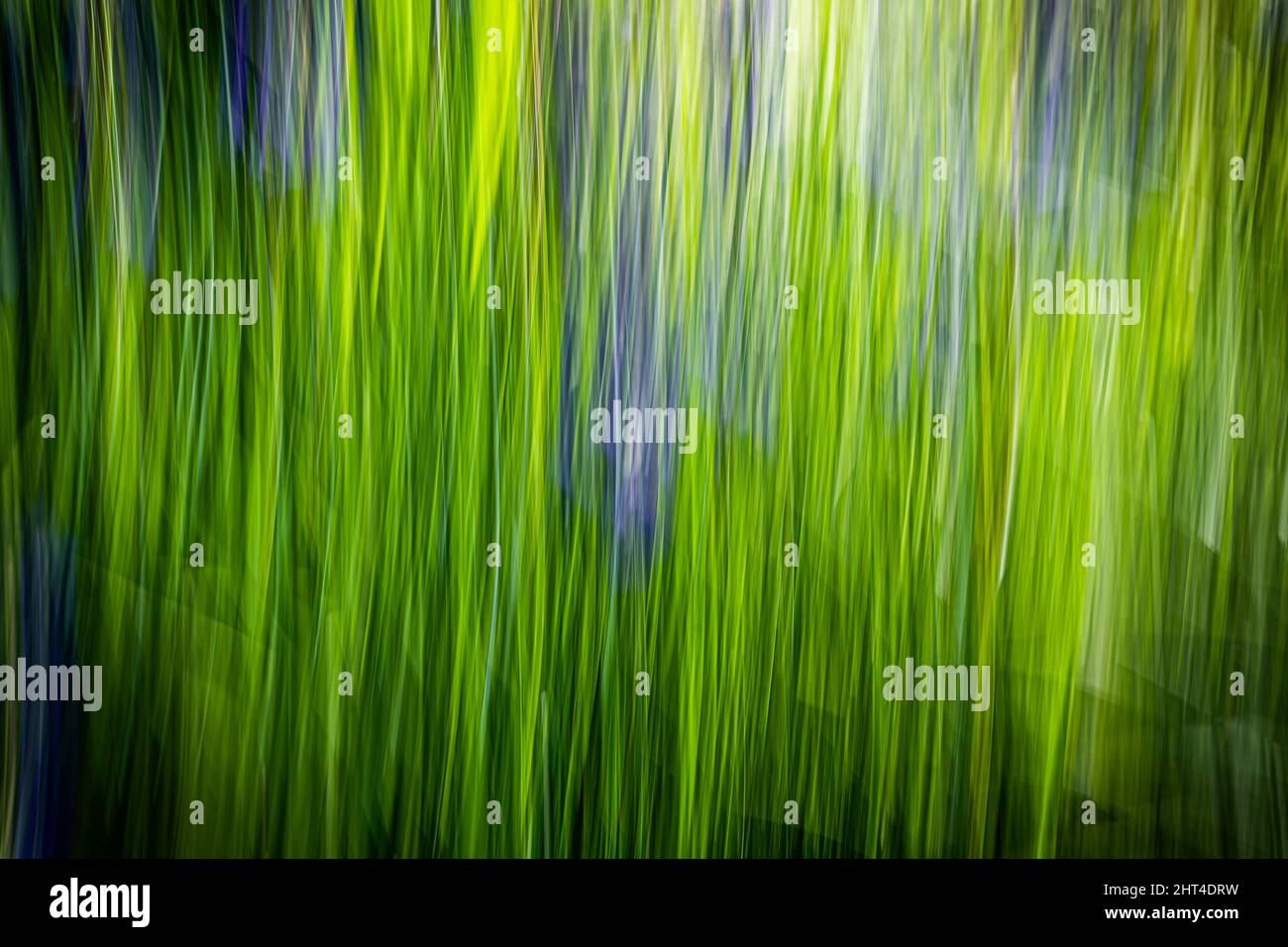 Abstract blurry background in green colors Stock Photo - Alamy