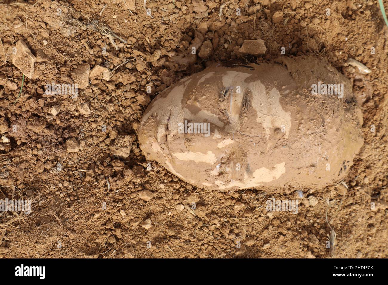 A woman buried in the ground A face covered in the ground Stock Photo ...